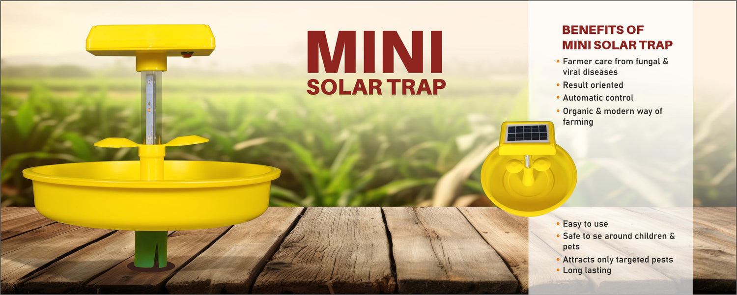 Solar Trap – HEDO